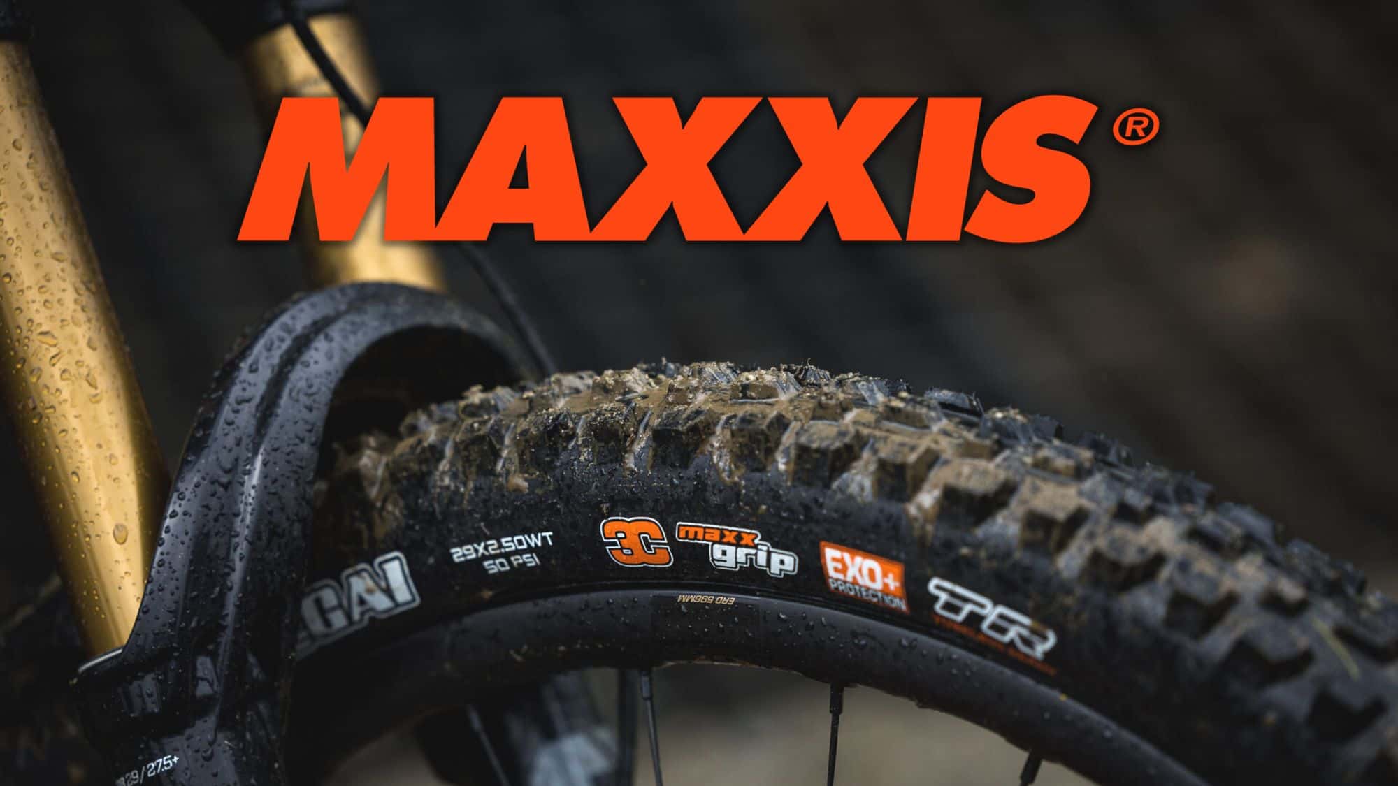 Maxxis MTB-Reifen Marktübersicht