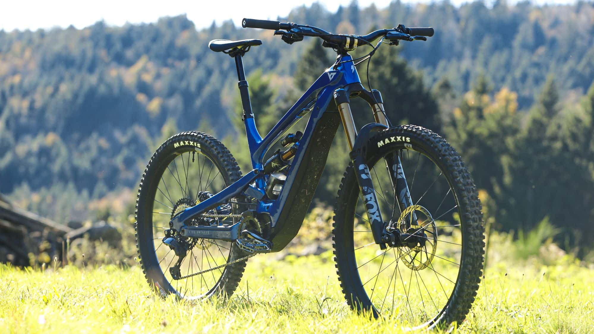 YT Decoy Core 5 im Test